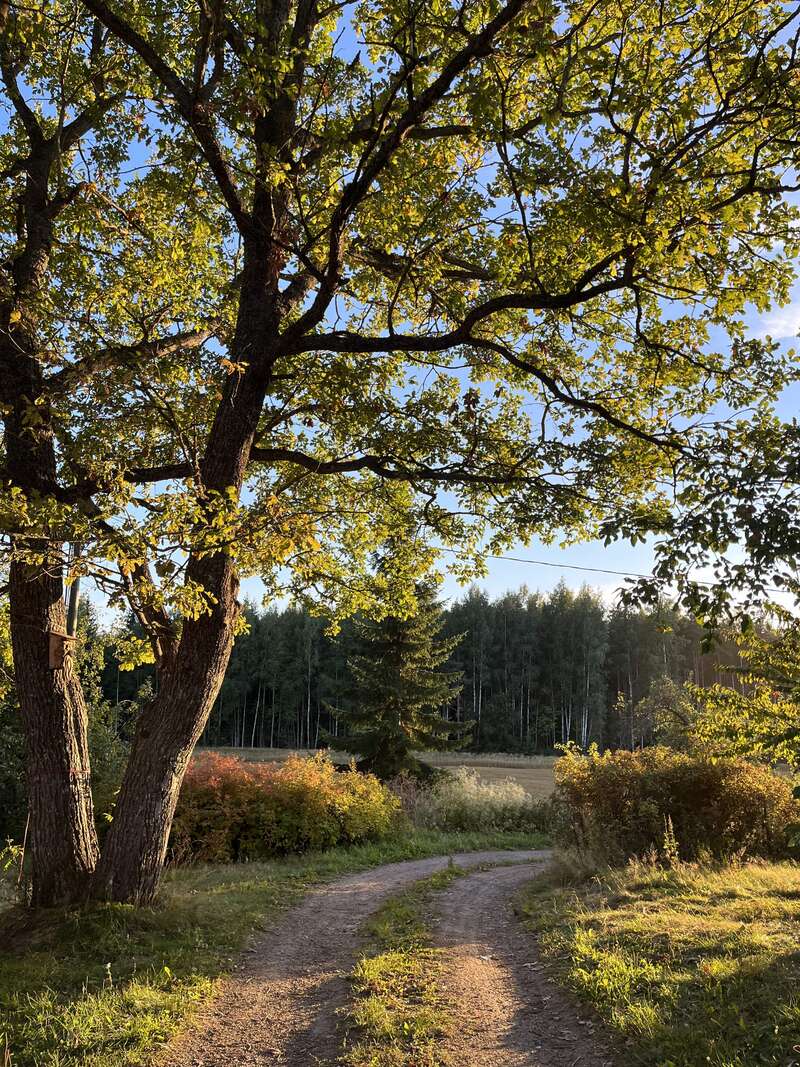 Peaceful life in Finnish countryside in Sammatti, Finland