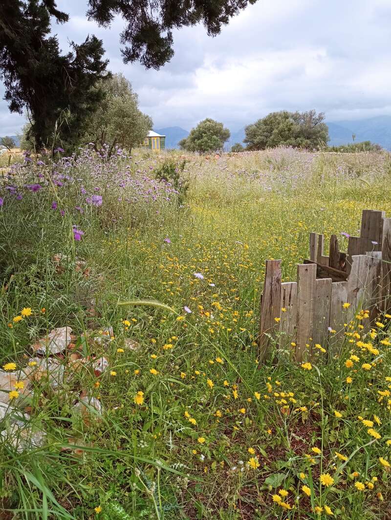 Create a tranquil space in nature in Chania, Crete, Greece