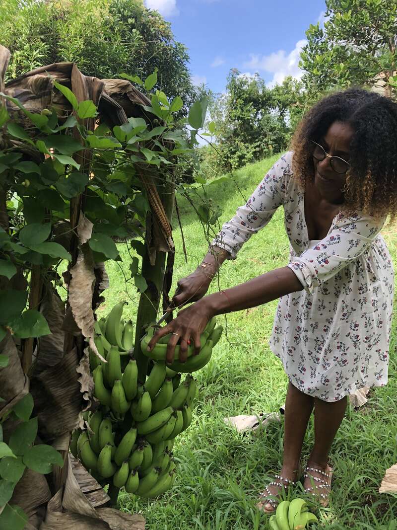 Join me and discover creole gluten-free vegetable specialities Le ...
