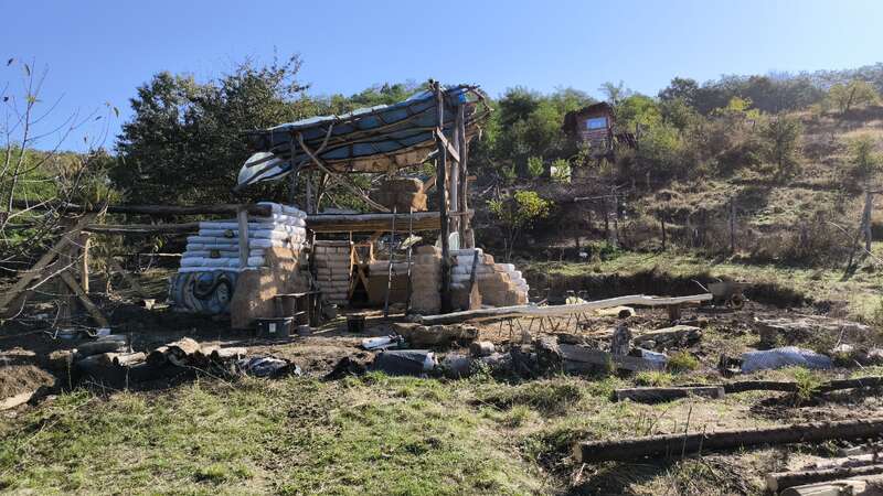 Sustainable farm, SolarPunk Movement, Permaculture for Better Future in ...