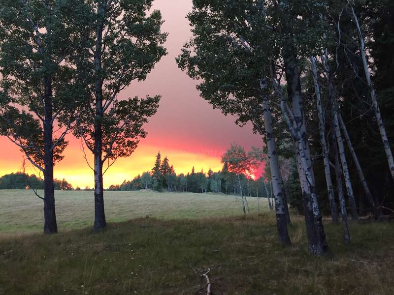 Dog and horse lovers welcome at our home in Bridge Lake, BC, Canada