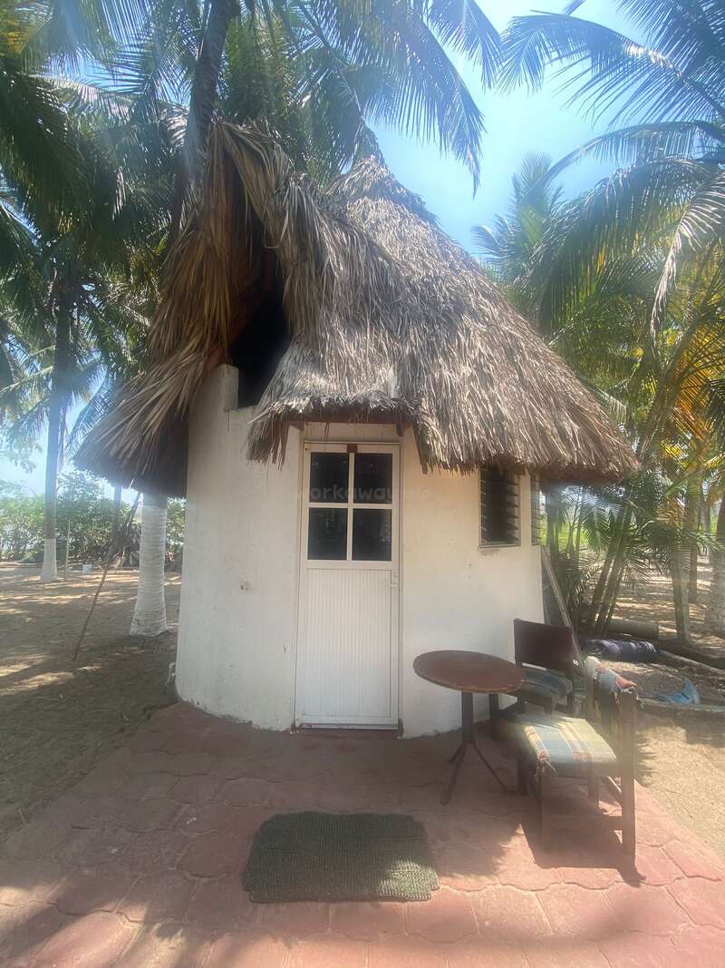 Help around our space for family travellers and explore Copala, Mexico