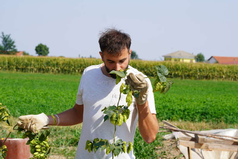 Join our youth association to garden and organize activities in Busca ...