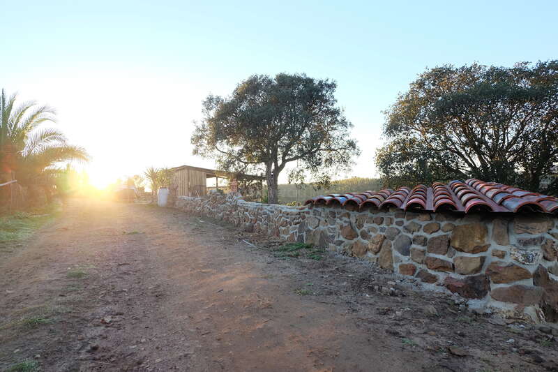 Join us on our farm / co work space in Relva Grande, Portugal