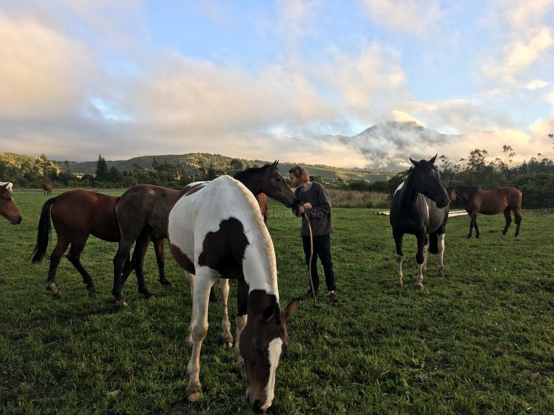 5 ways to make your Workaway profile stand out