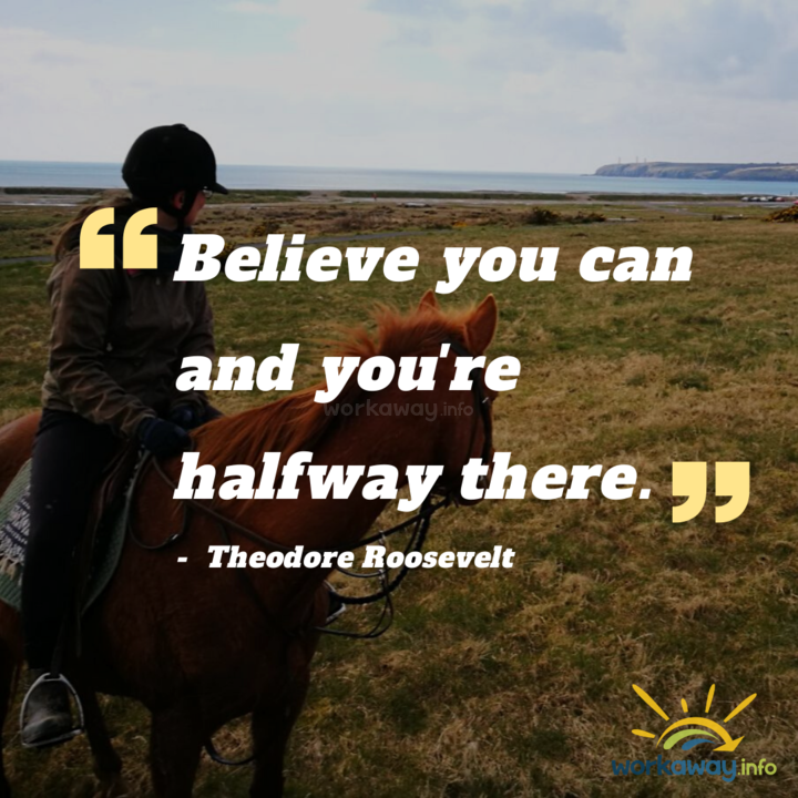 Workaway team in quarantine: Our 20 Best Self Isolation Quotes