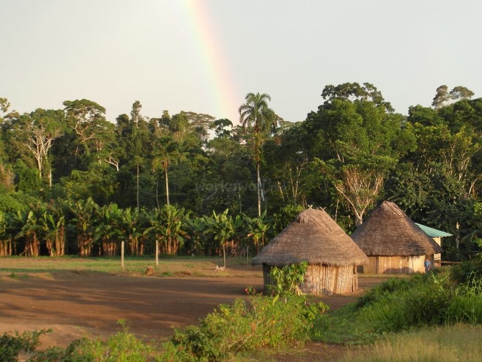 Live and teach among the indigenous Achuar deep inside the Ecuadorian ...