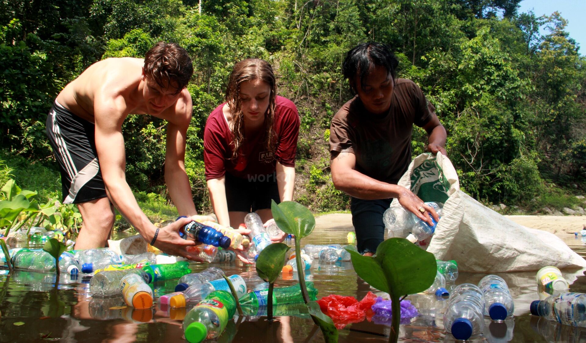 The Best Workaway Experiences for Eco-Warriors