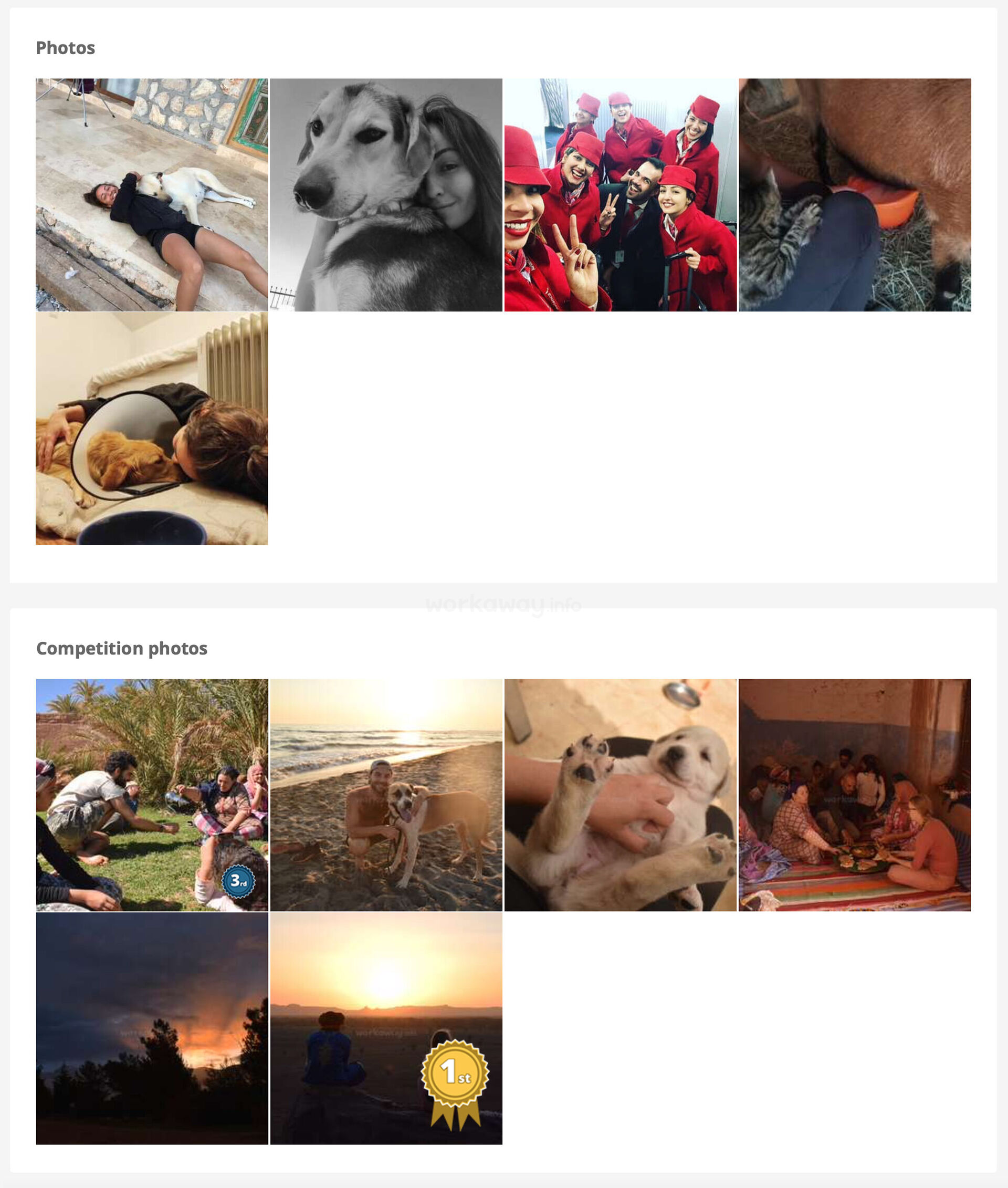 Introducing our Workawayer profile’s new look