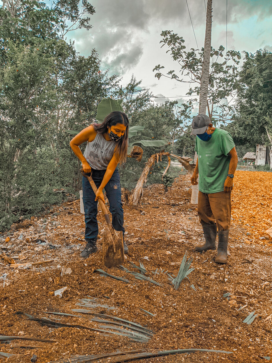 Workaway for newbies: your top questions answered