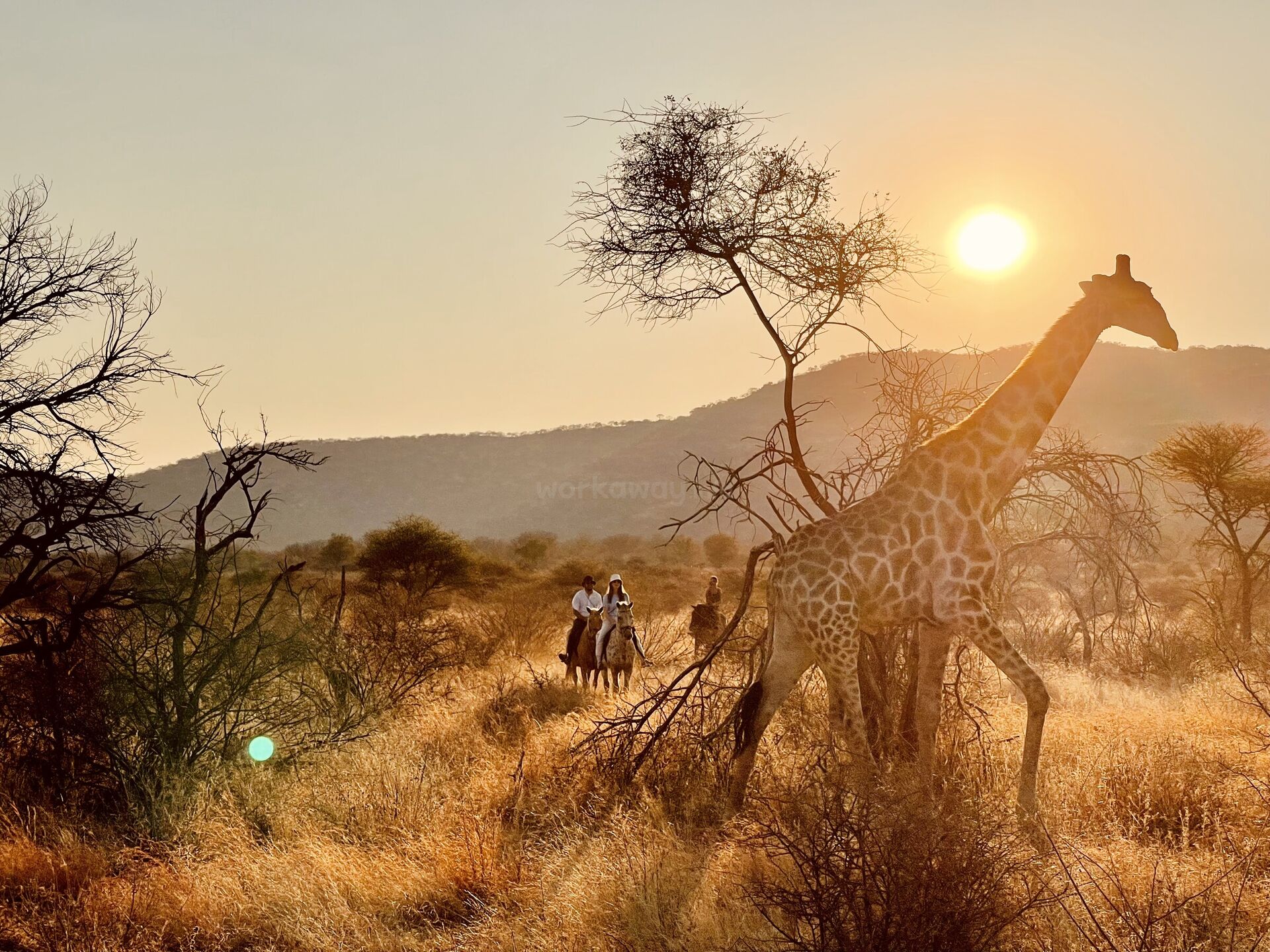 20 Amazing bucket list travel experiences to have around the world