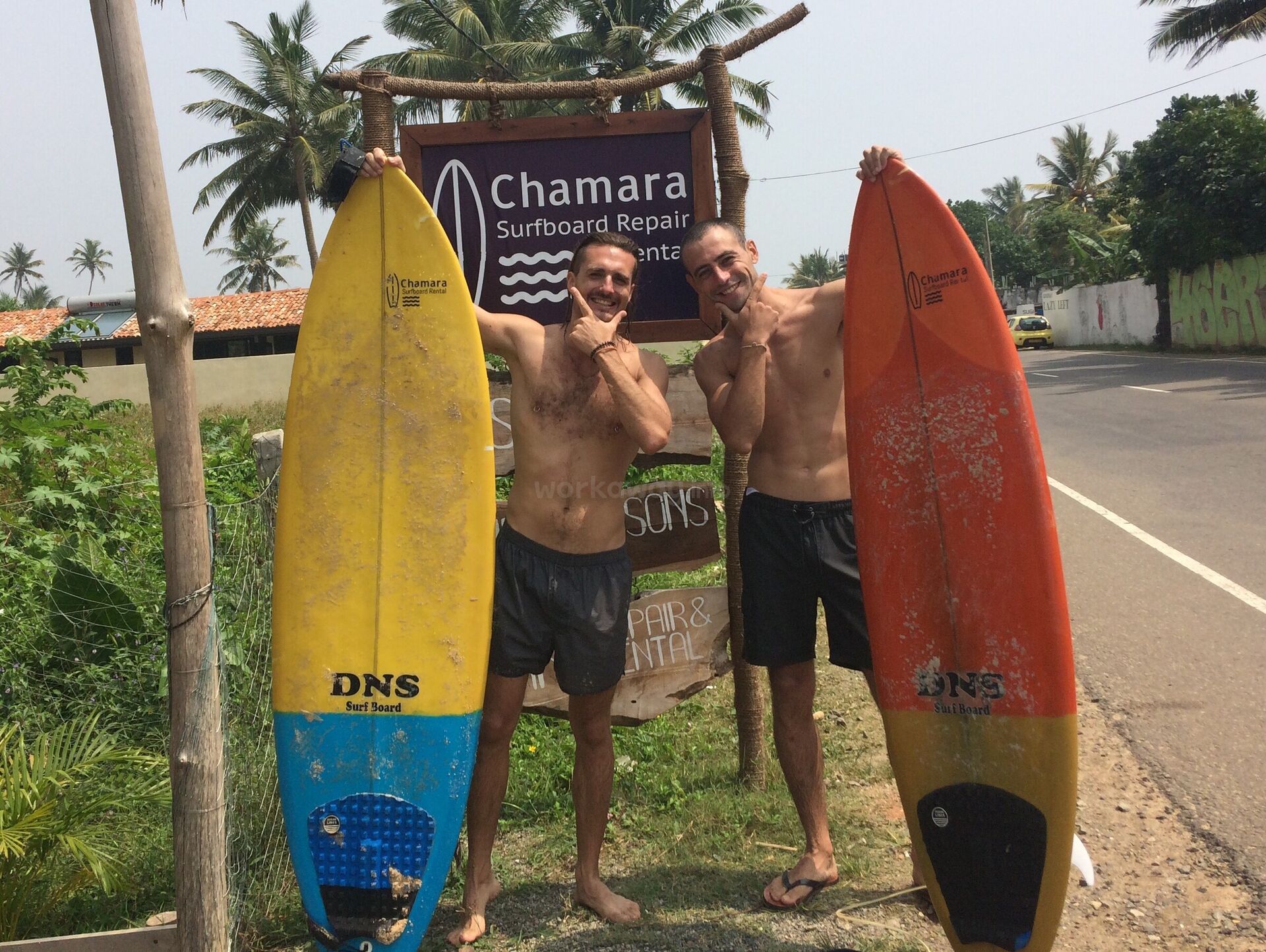 Surf's Up! The Ultimate Guide to Riding Waves with Workaway