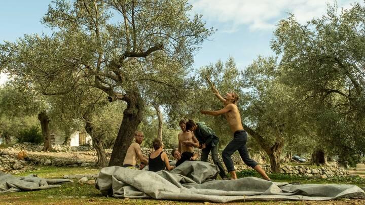 Types of Volunteering Explained & How to Find the Perfect Project