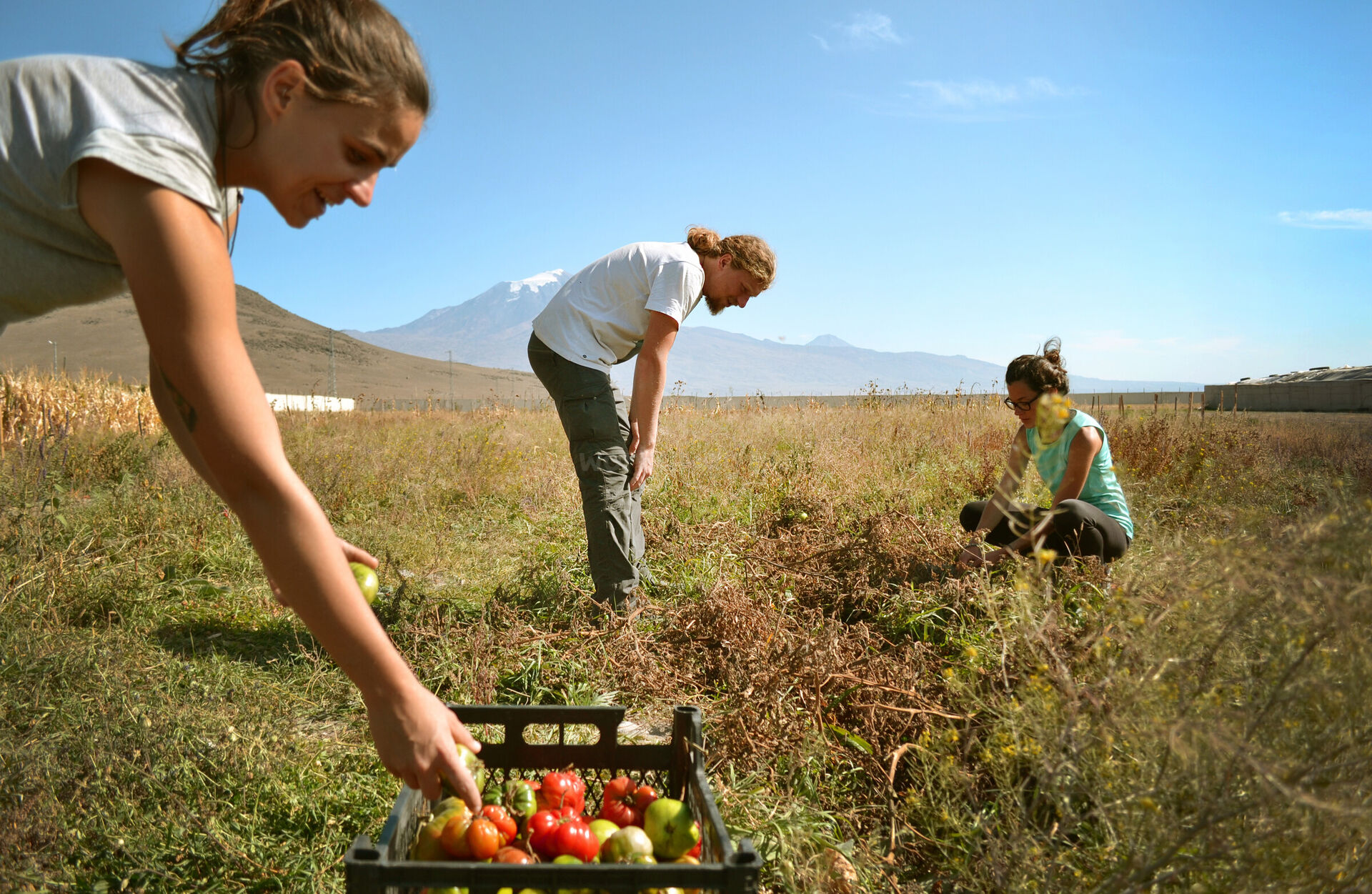 Types of Volunteering Explained & How to Find the Perfect Project