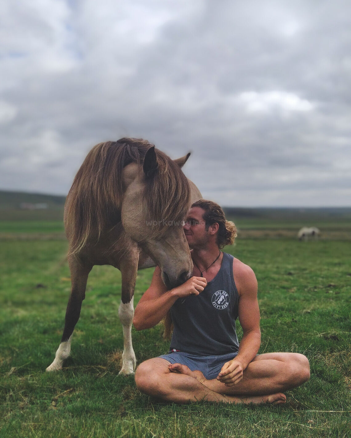 Workaway for Introverts: How to Explore the World & Embrace Your Inner ...