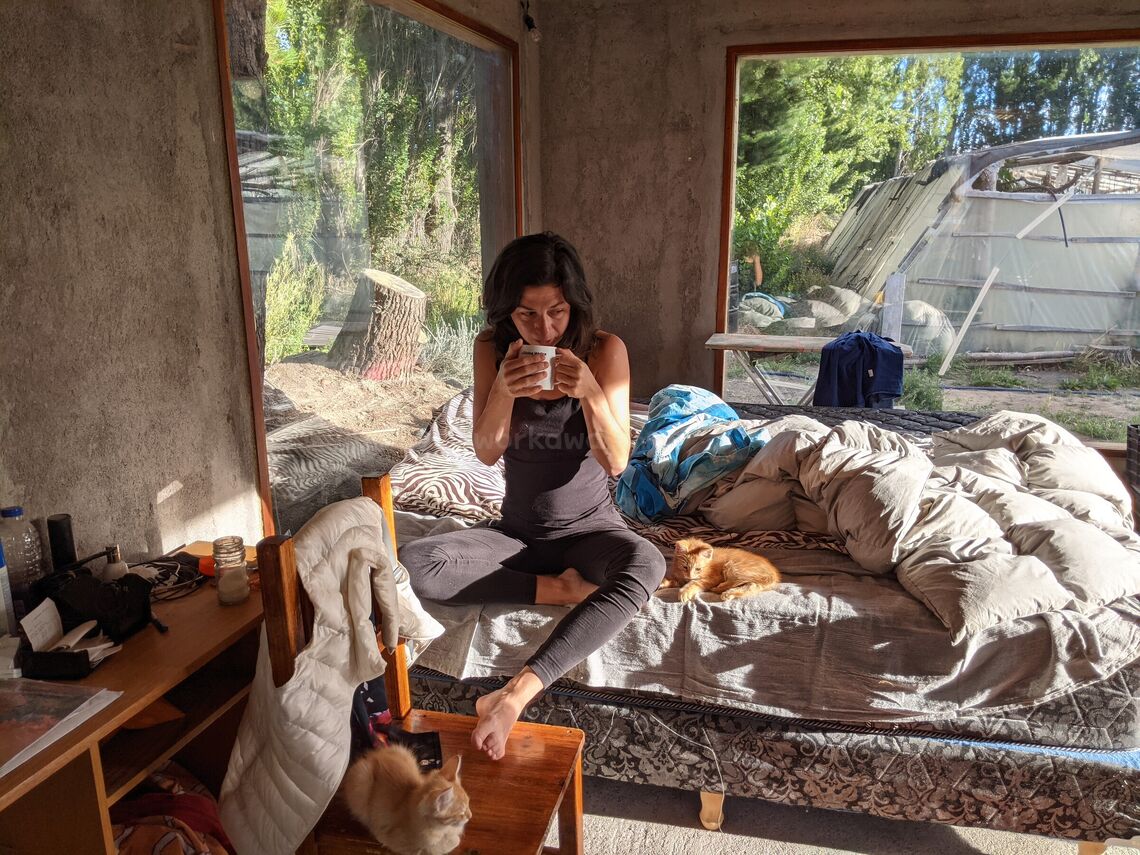 Workaway for Introverts: How to Explore the World & Embrace Your Inner ...