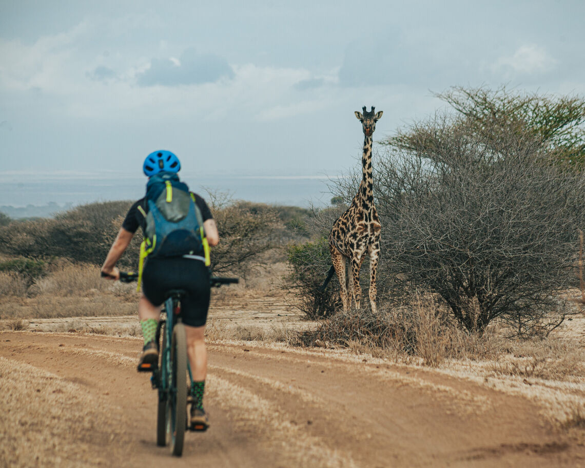 Top 10 Countries to Visit on Your Next Working Holiday